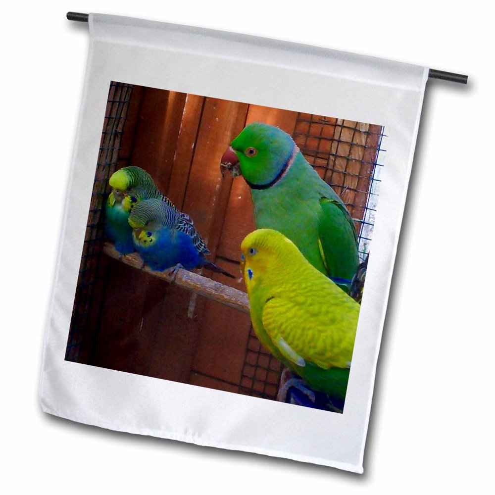 3dRose Ringed Neck Parrots and Parakeets - Garden Flag, 12 by 18-inch ...