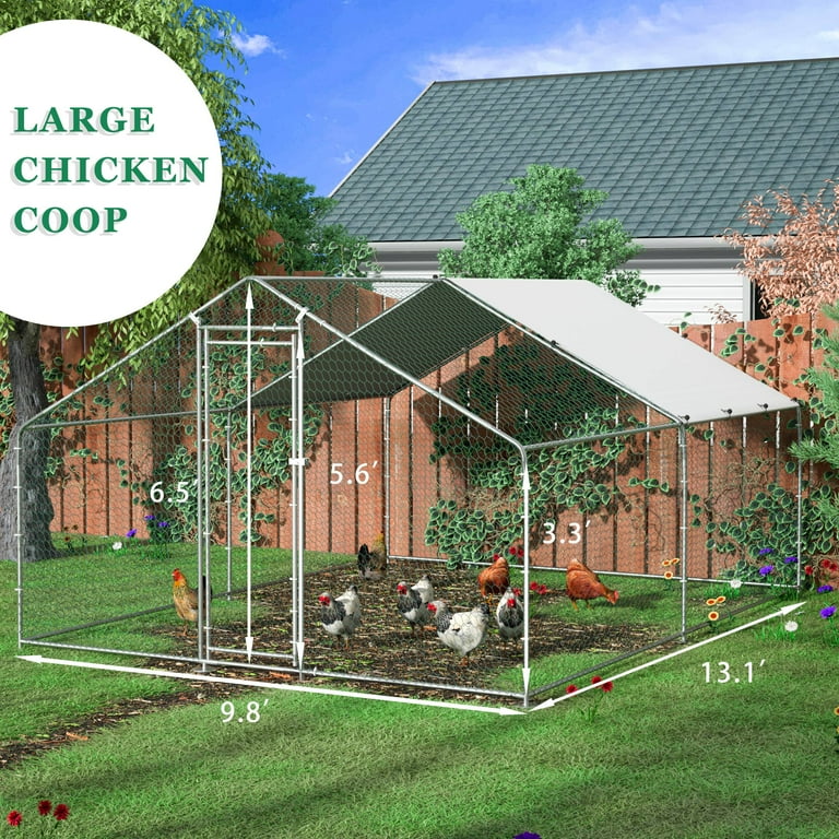 Large Chicken Run Plans