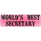10in x 3in World's Best Secretary Bumper Sticker Truck Window Decal ...