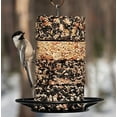 Birdola Seed Cake Stacker Stand Bird Feeder, 3-Count - Walmart.com