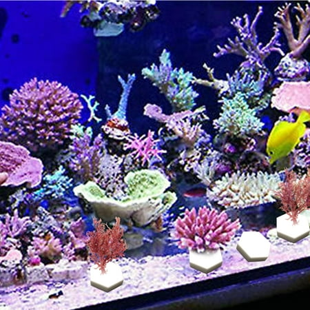 10 Pcs/set Seawater Coral Frame Breeding Ceramic Base Hexagonal Coral ...