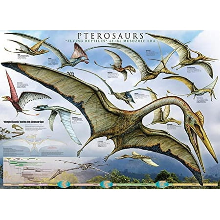 Dinosaurs - Pterosaurs (Flying Reptiles) - Chart Poster (24 x 36 inches ...