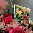 3drose, Image of Pink Yellow and Peach Flowers in Impressionism Style ...