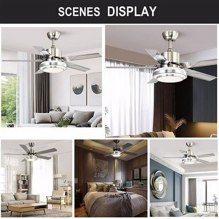 Modern Ceiling Fans With Bright Lights | Shelly Lighting