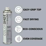 COLORSHOT Premium Spray Paint Metallic Silver Lining (Silver), 10 oz, 6 ...