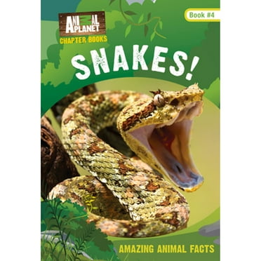 Step into Reading: 5 Wild Creature Adventures! (Wild Kratts) (Paperback) - Walmart.com