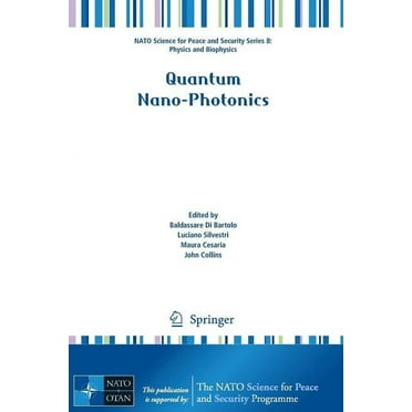 NATO Science for Peace and Security Series B: Physics and Bi: Nano ...