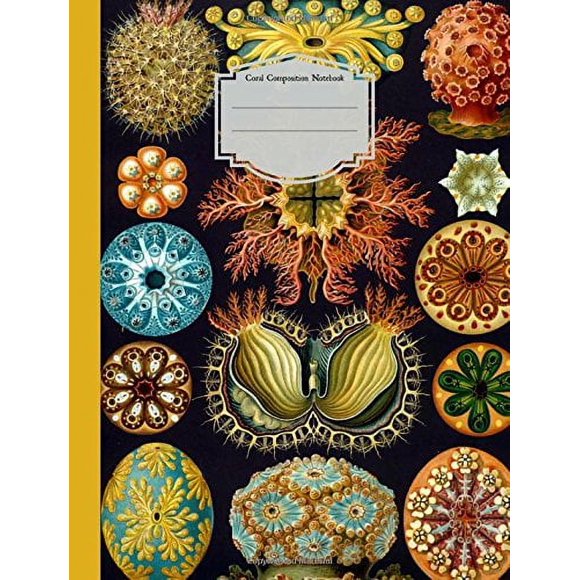 Composition Notebook Graph Paper