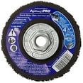 Avanti Pro Quick-Strip 4-1/2 in. Dia. x 5/8 in. Silicon-Carbide ...