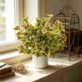 1Pc Artificial Shiso Leaf Artificial Shiso Leaf For Living Room,Plastic ...