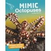 Caring for Hermit Crabs : A 4D Book - Walmart.com