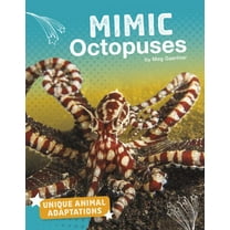 Caring for Hermit Crabs : A 4D Book - Walmart.com