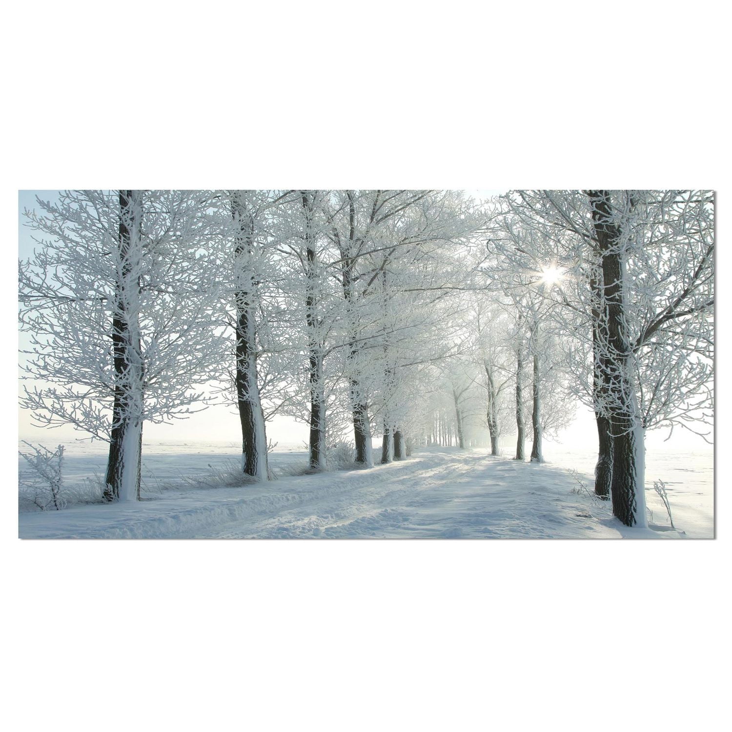 Click here for Designart Winter Trees Backlit By Morning Sun Canv... prices
