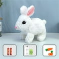 RUIG Hopping Bunny Toys for Kids Interactive Electronic Bunny Plush Toy ...