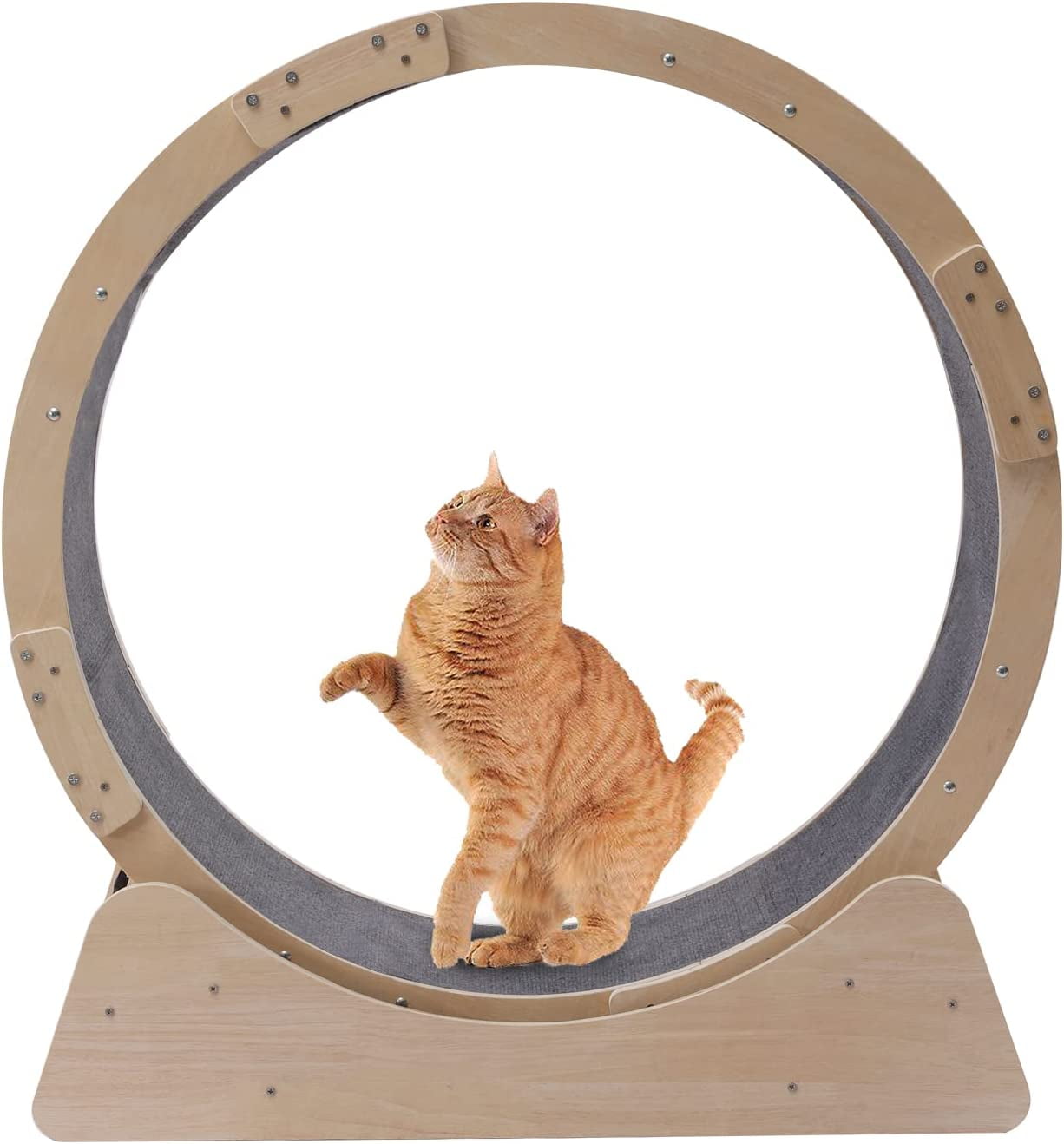 Miumaeov Cat Exercise Wheel, Cat Wheel Exerciser for Indoor Cats, Cat ...