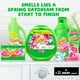 Gain Dryer Sheets, 180 Ct, Spring Daydream Fabric Softener Sheets ...