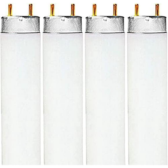 F20T12 Light Bulbs