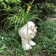 Homestyles Antique White Grandma Violet the Muggly Face Humorous Statue ...