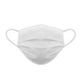 Graham Pro Defense Disposable 3 Ply Face Masks 50 Pack HC-86898 ...