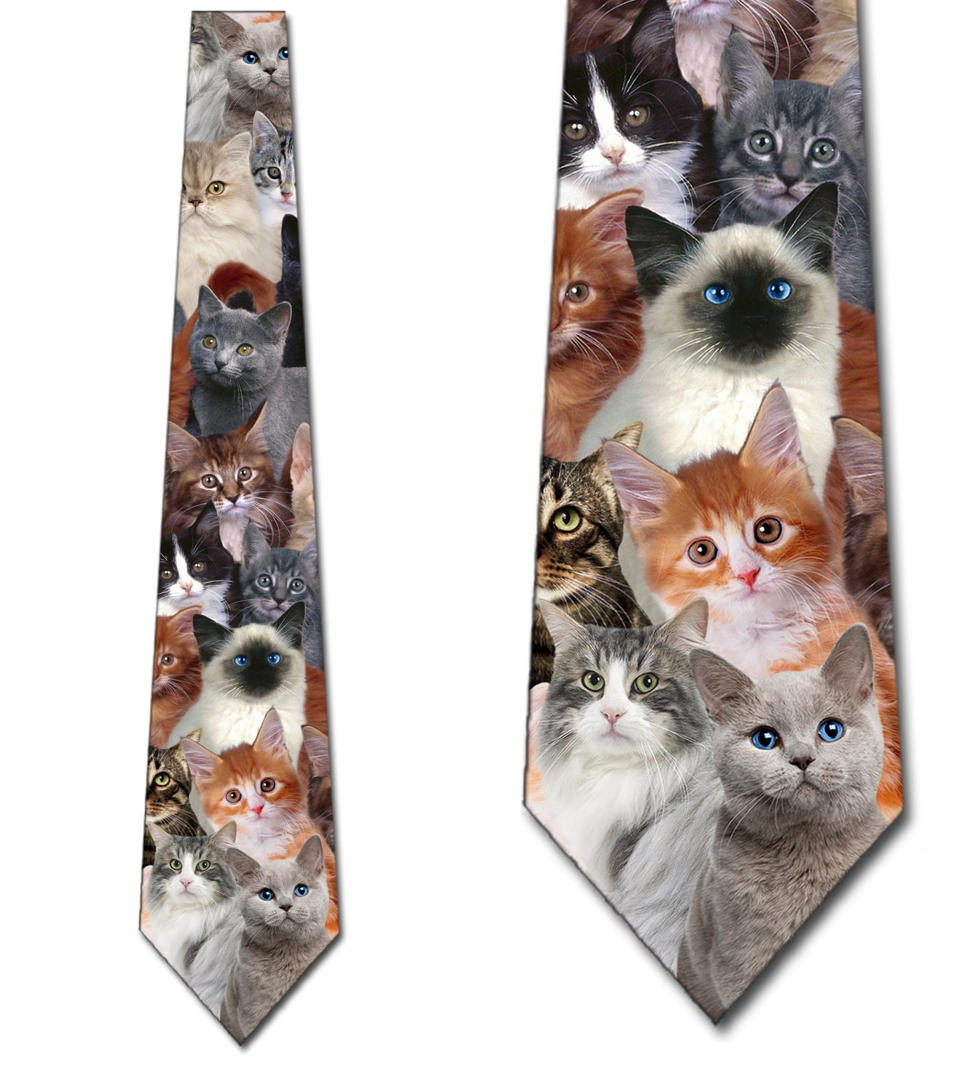 Cat Ties Mens Kitty Kat Meow Necktie Kitten by Three Rooker - Walmart.com
