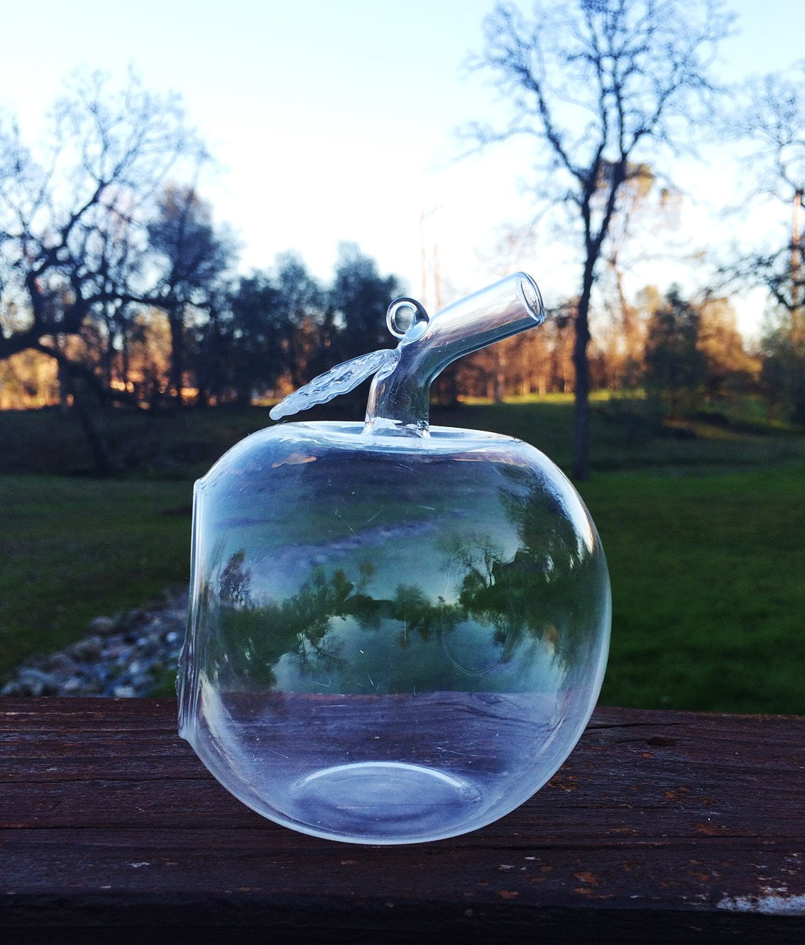 Apple Shaped Clear Glass Planter for Small Succulents, Air Plants or ...