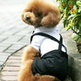 ITSELFER Pet Formal Wear Fashion Pet Outfit Dog Formal Dress Pet ...