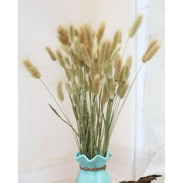 Decoración de hierba seca natural, ramo de flores de plantas secas ...
