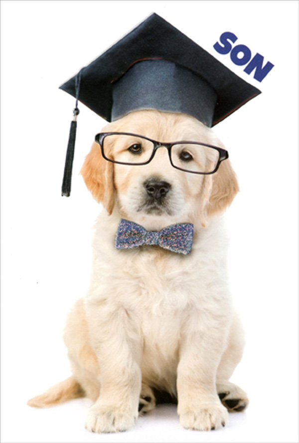 Pictura Puppy Wearing Grad Cap, Glasses and Bow Tie Graduation ...