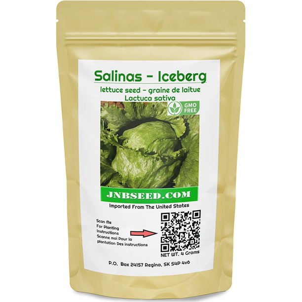 Lettuce : Iceberg 2410 s(3.5 Grams) Non Hybrid Head Lettuce Gold Foil ...