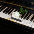 BESTYASH 3Pcs Professional Piano Keytops Black Glossy Plastic ...