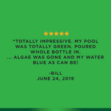 HTH Super Algae Guard 5-in-1: Algae Killer, Preventer, Pool Cleaner, 1 ...