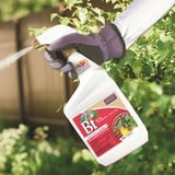Bonide 806 Bacillus Thuringiensis Insect Killer Spray, Quart - Walmart.com