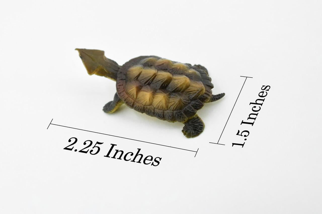 Mata Mata Mutant Turtle