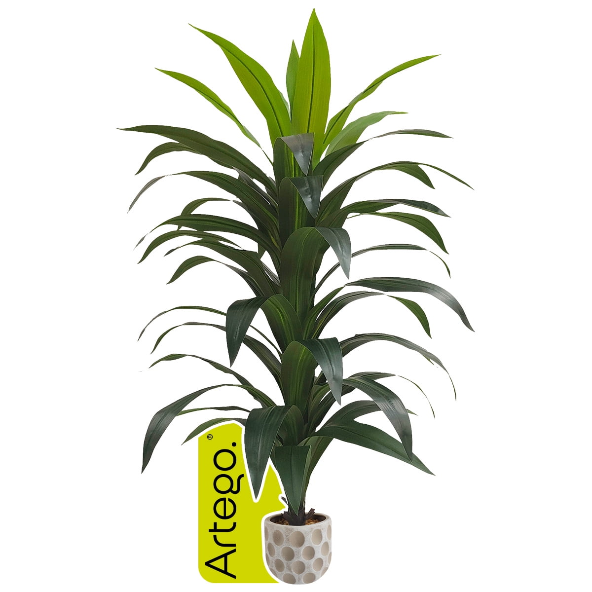 Planta artificial decorativa moderna con maceta Dracaena Palo de Brasil ...