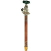 Mueller Frost Proof Sillcock Anti-Siphon, Silver, Red, 1/2 In. Copper ...