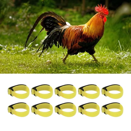 Rooster Collar 10 Pcs No Crow Adjustable Chicken Collar Cock Collar ...