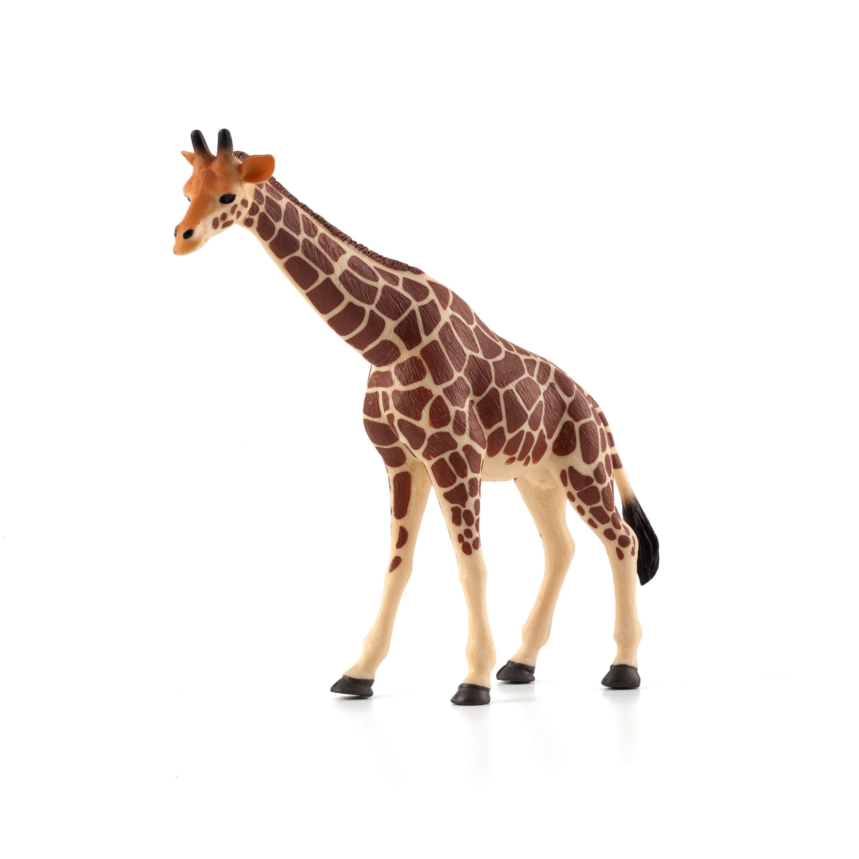 MOJO - Realistic International Wildlife Figurine, Giraffe - Walmart.com