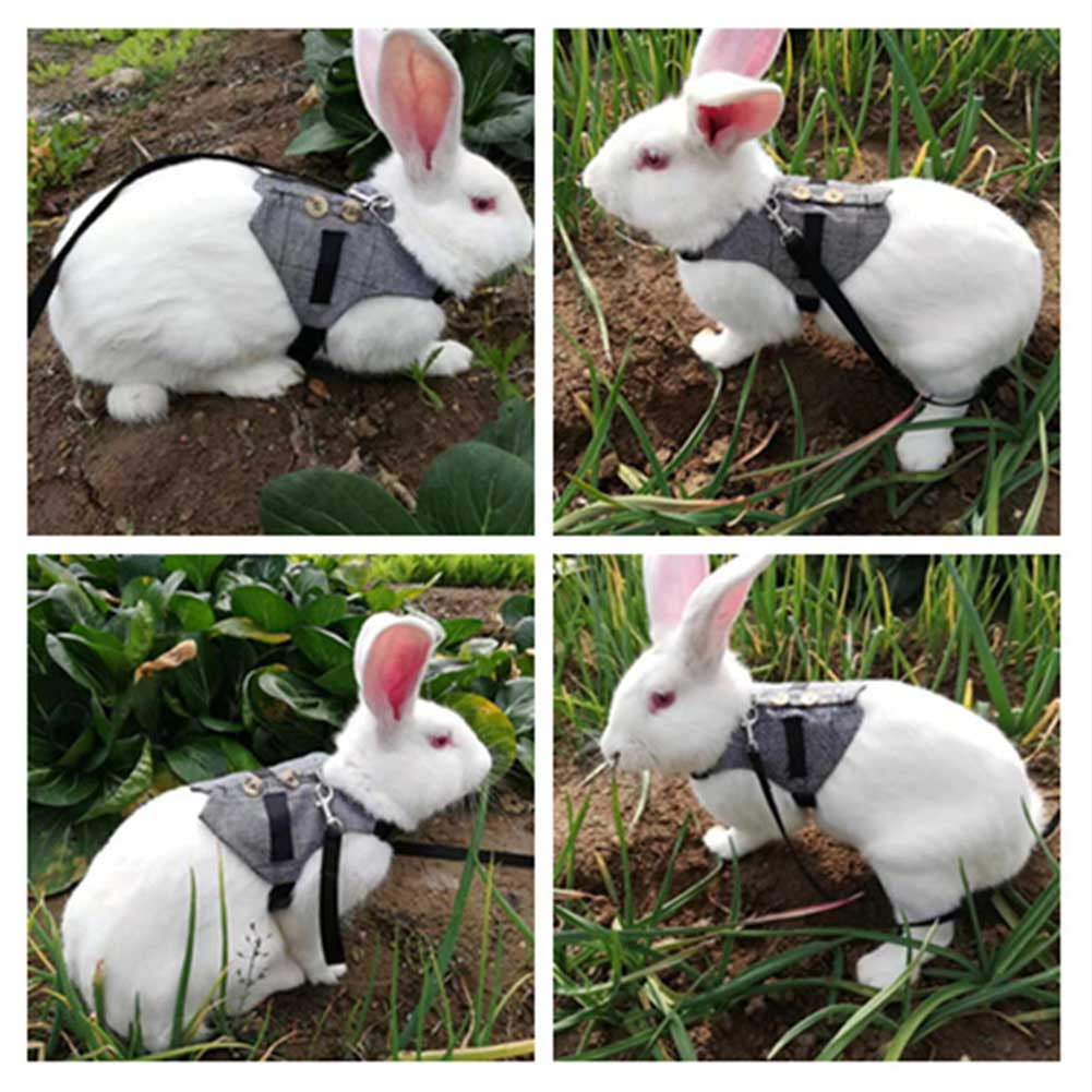 Click here for Amonsee Rabbit Harness  Breathable Cotton Rabbit V... prices
