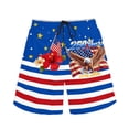 Binienty Men's Board Shorts Swim Trunks With Patriotic 250 Year Design ...