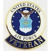 United States Air Force Veteran Logo Lapel Pin - Officially Licensed ...