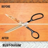 Rust-Oleum Rust Dissolver Jelly, 8 oz, Gel Clings to Metal Surfaces ...