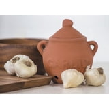 Fox Run Garlic Keeper, Terra Cotta, Red, Porous Storage Container with ...