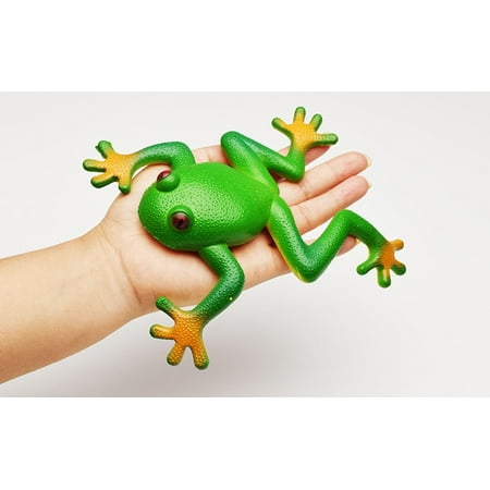 Novelty Funny Toy squishy Frog Toy Simulation Soft Stretchable Rubber ...