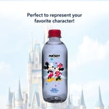 Waterco Disney Mickey and Minnie Mouse Spring Water, 12 x 12 oz Bottles ...