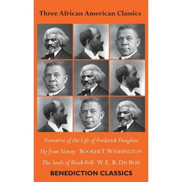 SuperWomen : The Scenes in the Heroic Lives of Harriet Tubman and ...