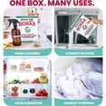 Free Shipping! 20 Mule Team Borax Detergent Booster, All Purpose ...