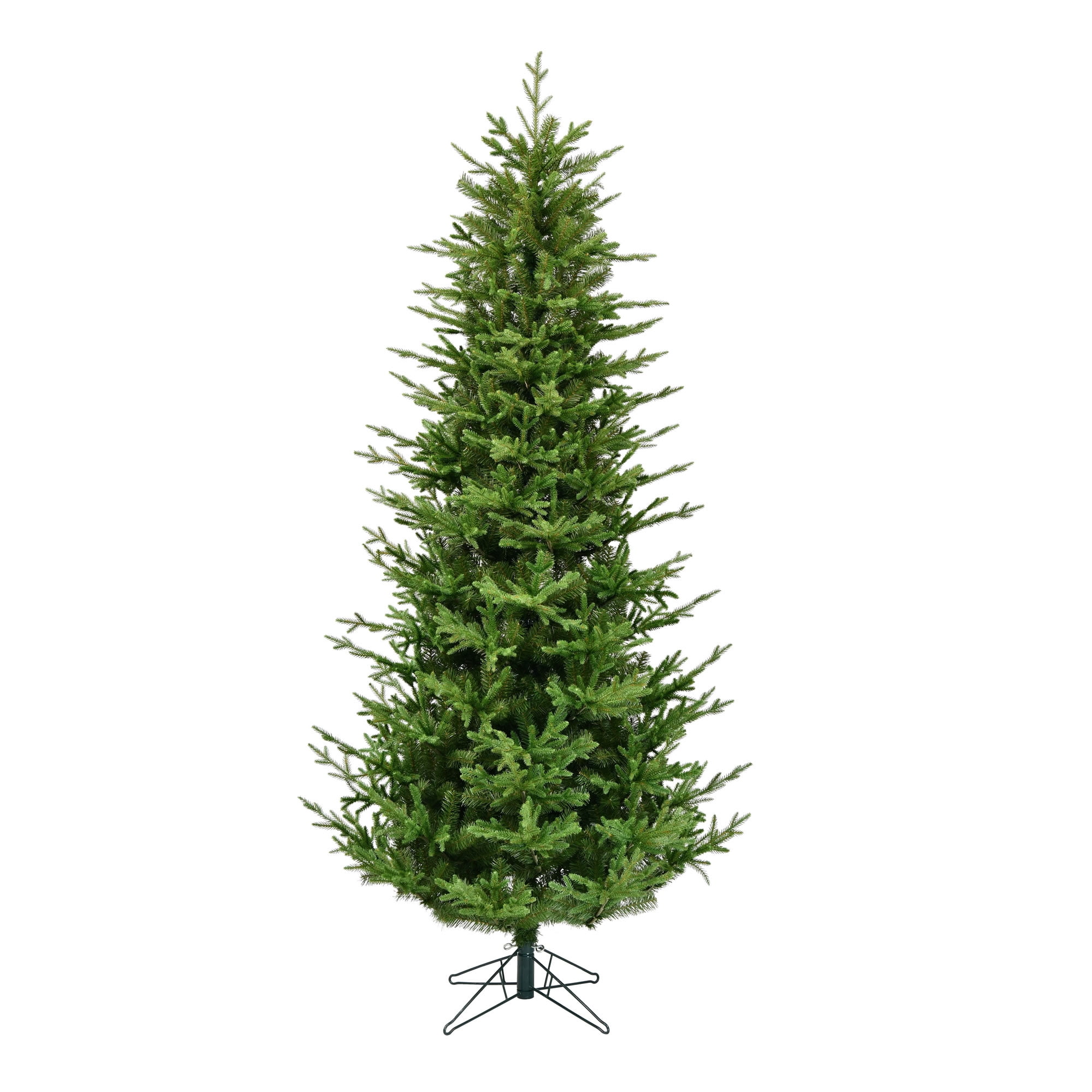 Frasier Fir