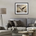 Stupell Industries Gliding Mallard over Wetlands Black Framed Print ...