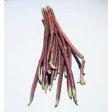 100 Seeds RED RIPPER COWPEA Cow Pea Southern Pea Vigna Unguiculata ...