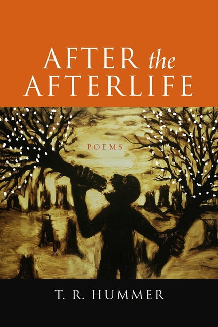 After the Afterlife : Poems (Paperback) - Walmart.com